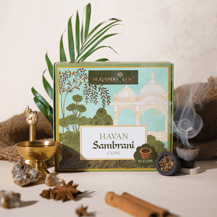 Havan Cups – Sugandh Lok